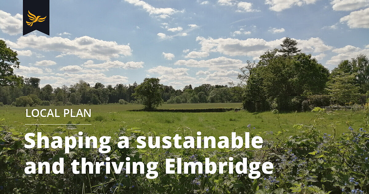 Shaping a sustainable and thriving Elmbridge - Elmbridge Liberal Democrats
