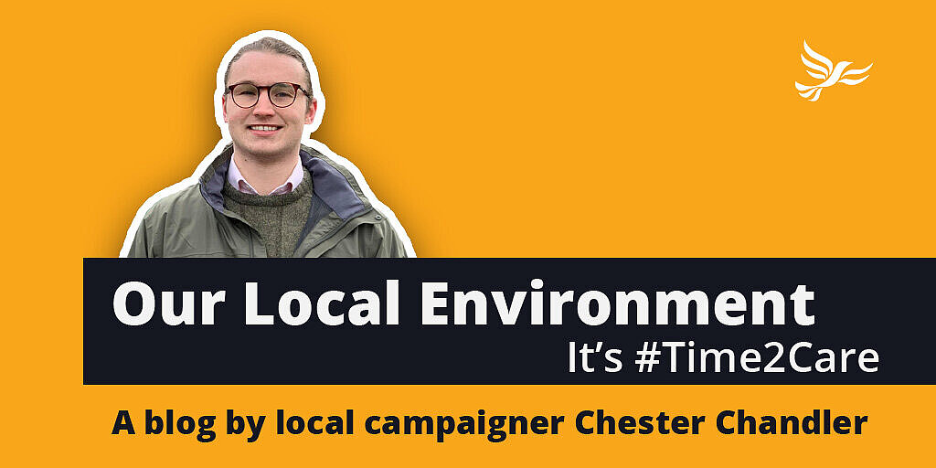 Our Local Environment – It’s #Time2Care - Elmbridge Liberal Democrats